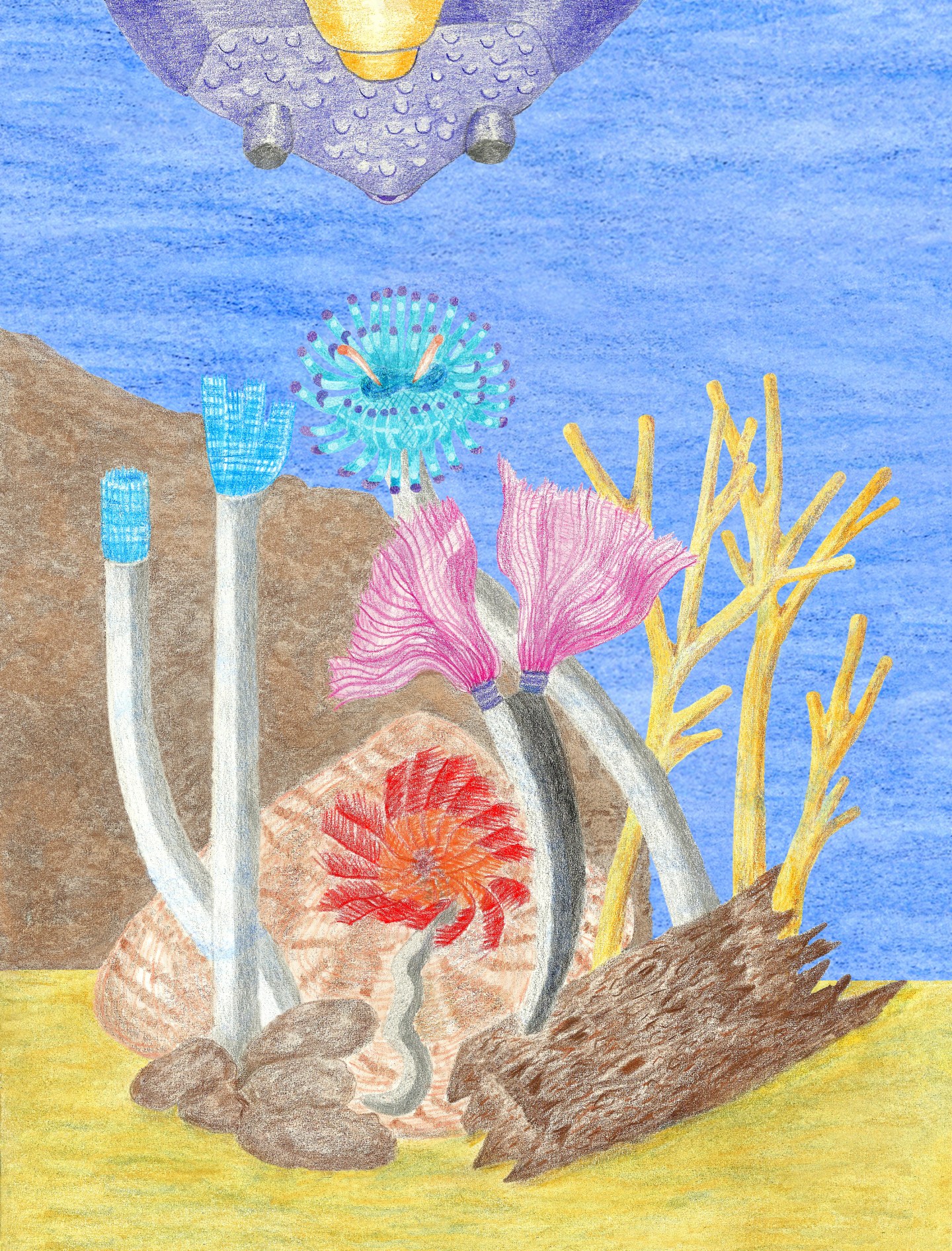 Tube Worms Fossils | Fossil Lady